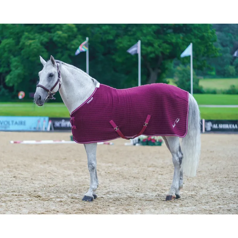 Mark Todd Coolex Cooler Rug - Burgundy/White
